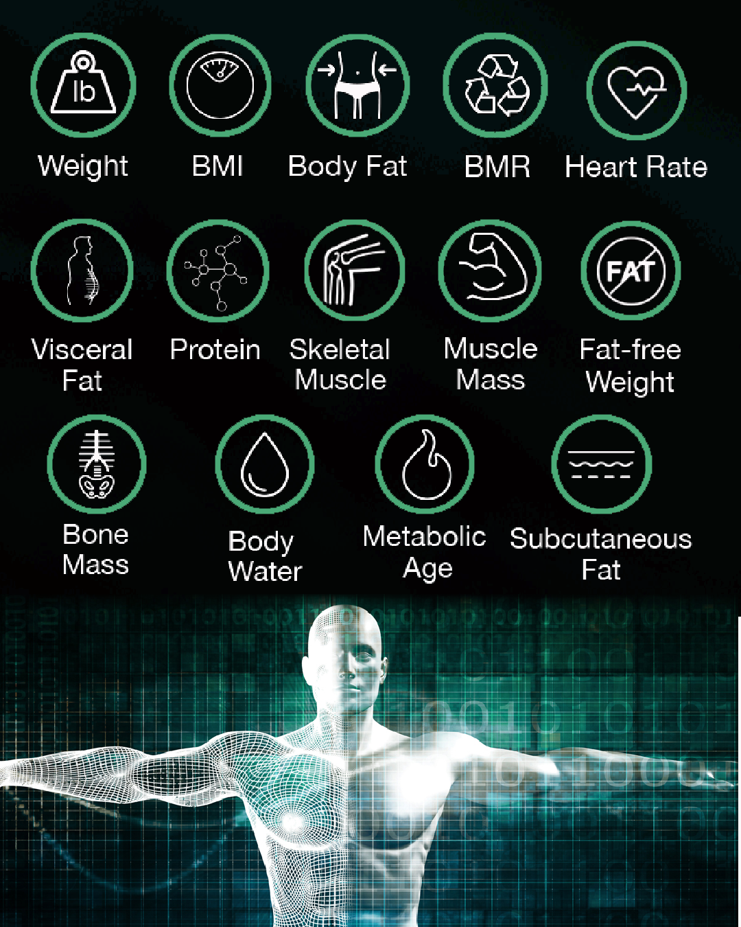 Revolutionary New Scale Lets You Look Inside Your Body (It’s Like A ...